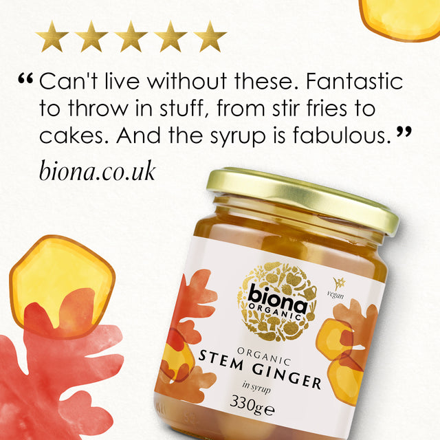 STEM GINGER IN SYRUP 330g – Biona